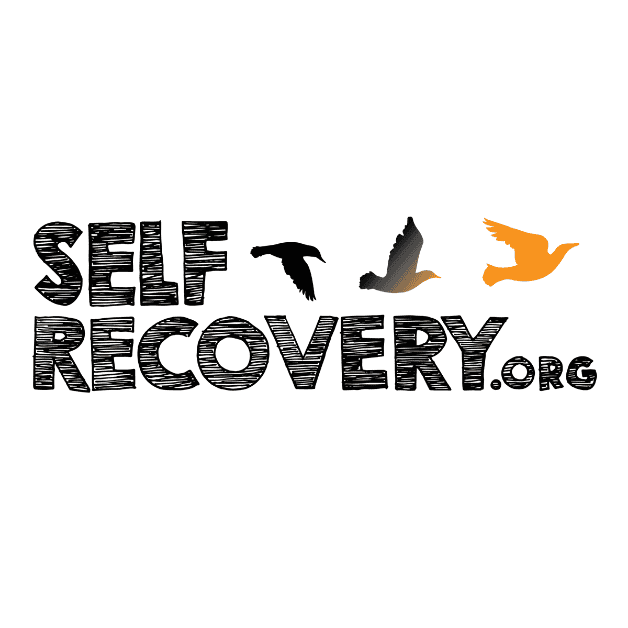Self Recovery: Private, Online Addiction Recovery Program